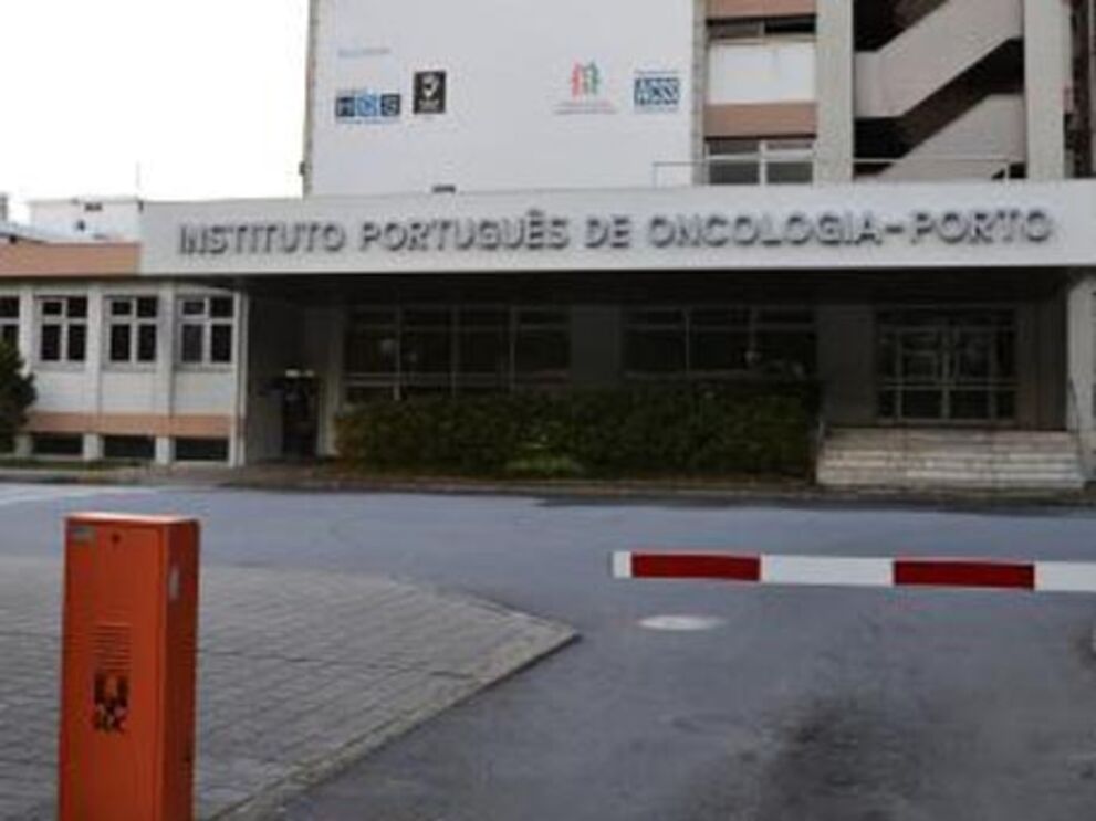 IPO do Porto cria terapia para cancro do sangue com células ...