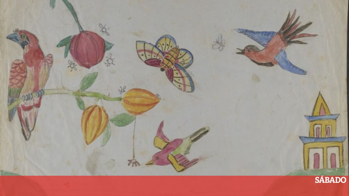 Manuscritos de Darwin têm desenhos dos filhos - GPS - SÁBADO