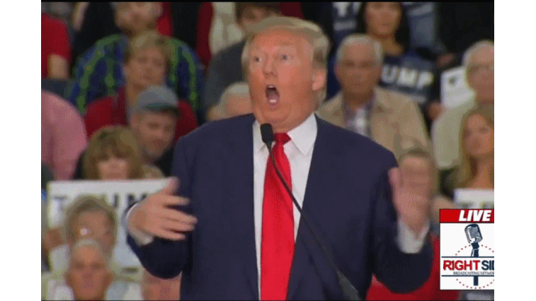 Donald Trump goza com jornalista com deficiência - Mundo - SÁBADO