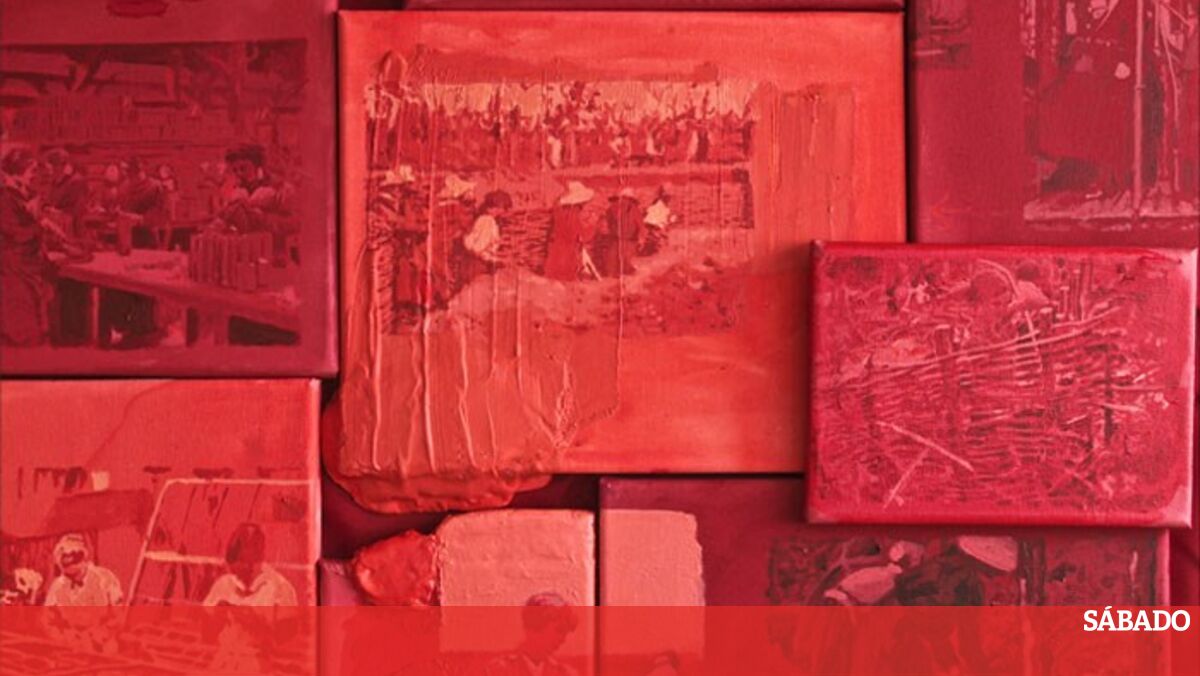 Crítica de artes plásticas: Isabel Sabino - Arte - SÁBADO