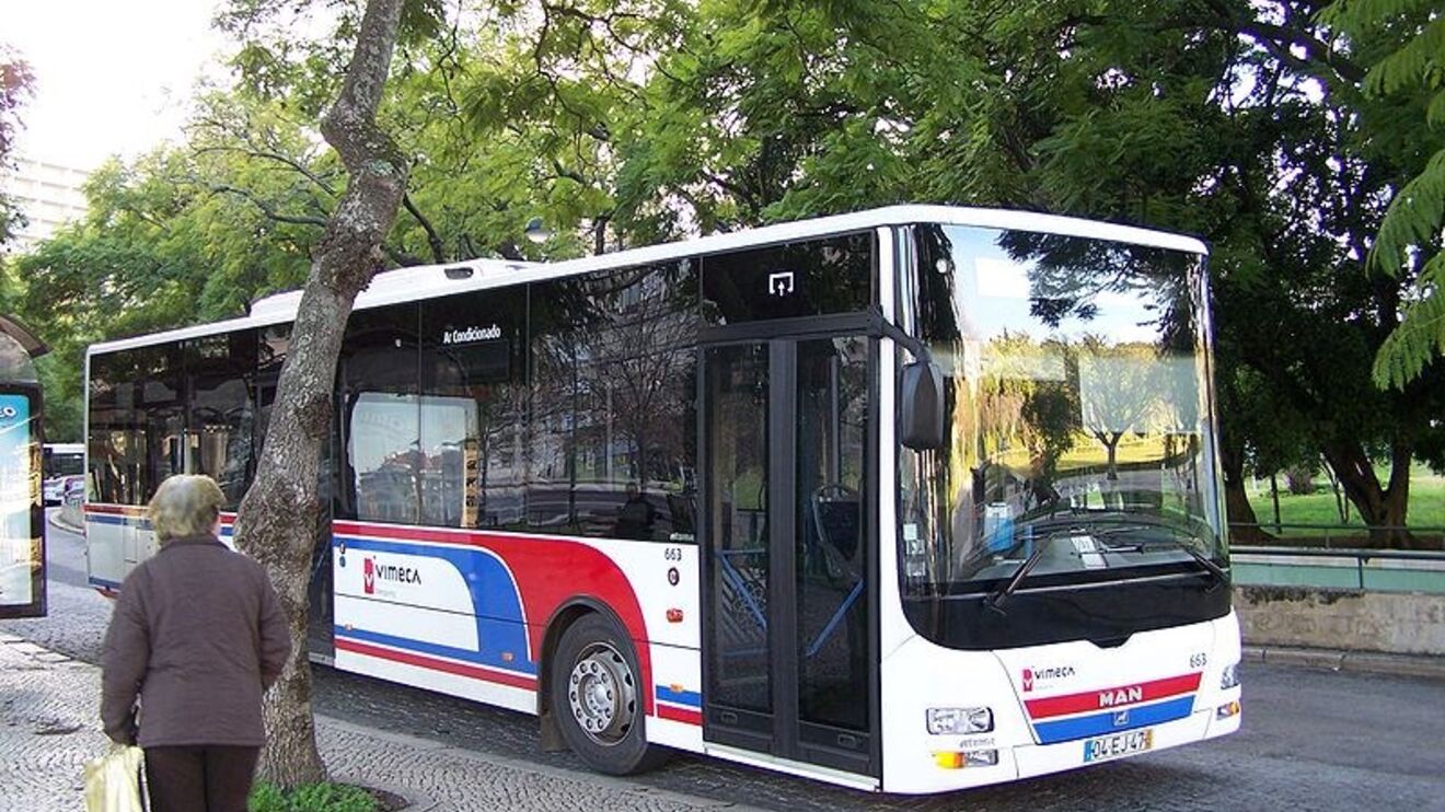 Vimeca comprada por grupo brasileiro - Portugal - SÁBADO