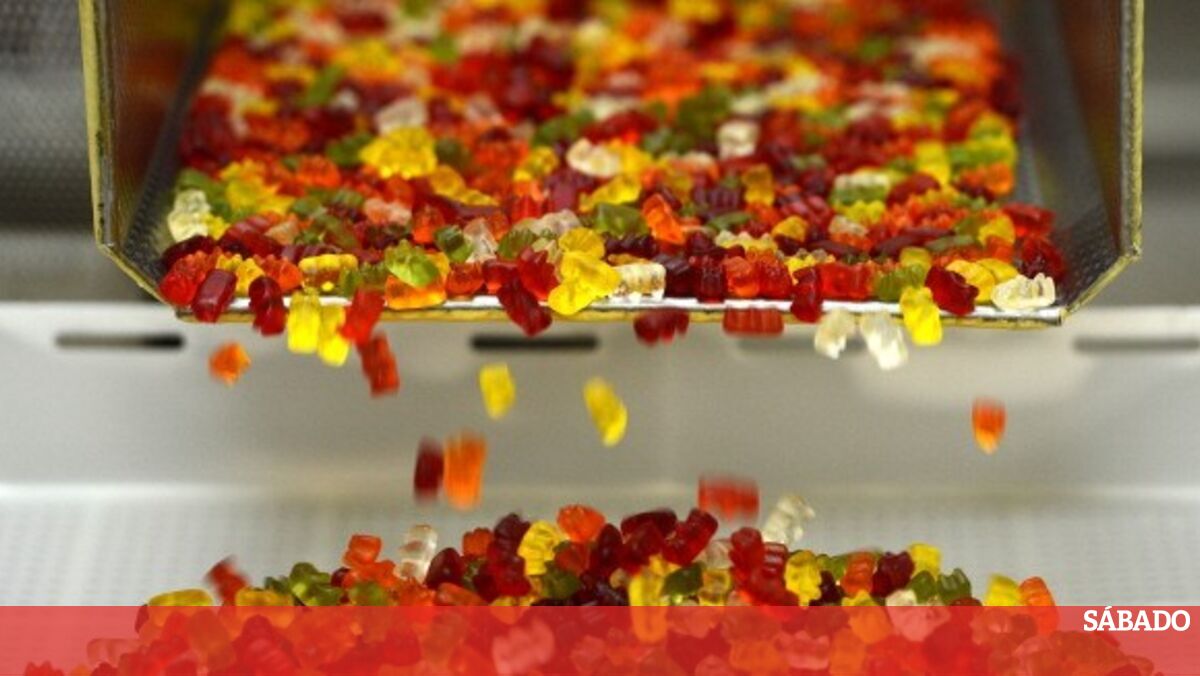 Fábrica que produz gomas Haribo revela condições desumanas - Mundo - SÁBADO