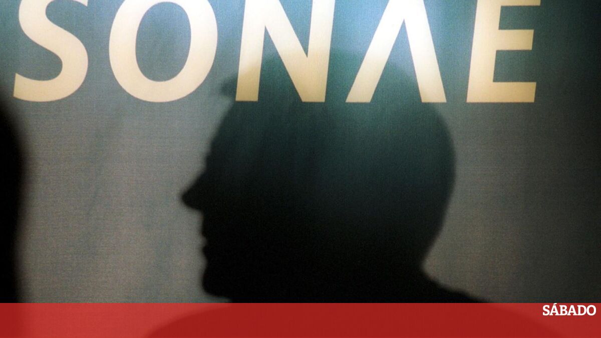 Sonae encerra lojas de retalho não alimentar às 13h nos próximos fins ...