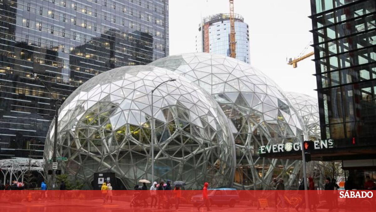 A floresta que é a nova sede da Amazon - Fotografias - SÁBADO