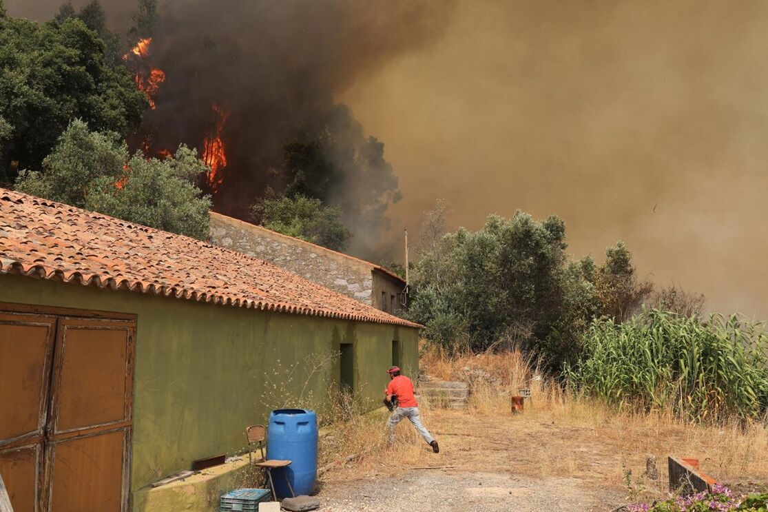 Queimadas entre as principais causas dos fogos - Portugal - SÁBADO