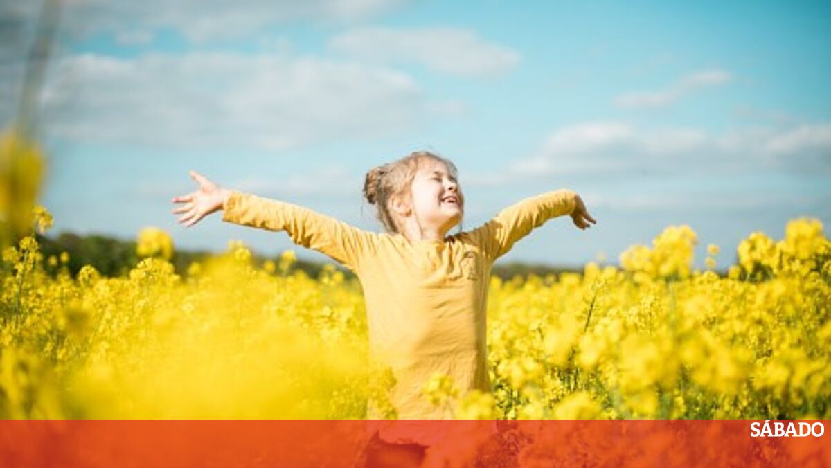 Primavera chega com sol e temperaturas a condizer - Portugal - SÁBADO