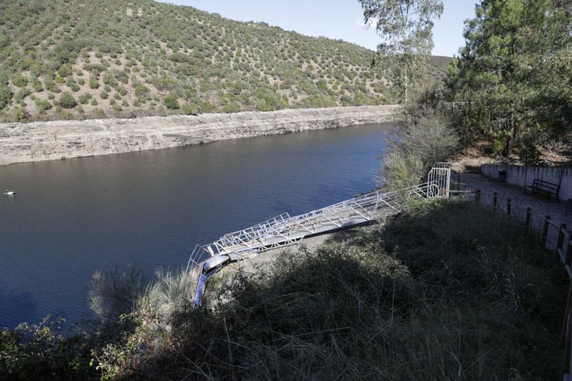 Montijo: Movimento proTejo promete atuar em defesa da Reserva Natural ...