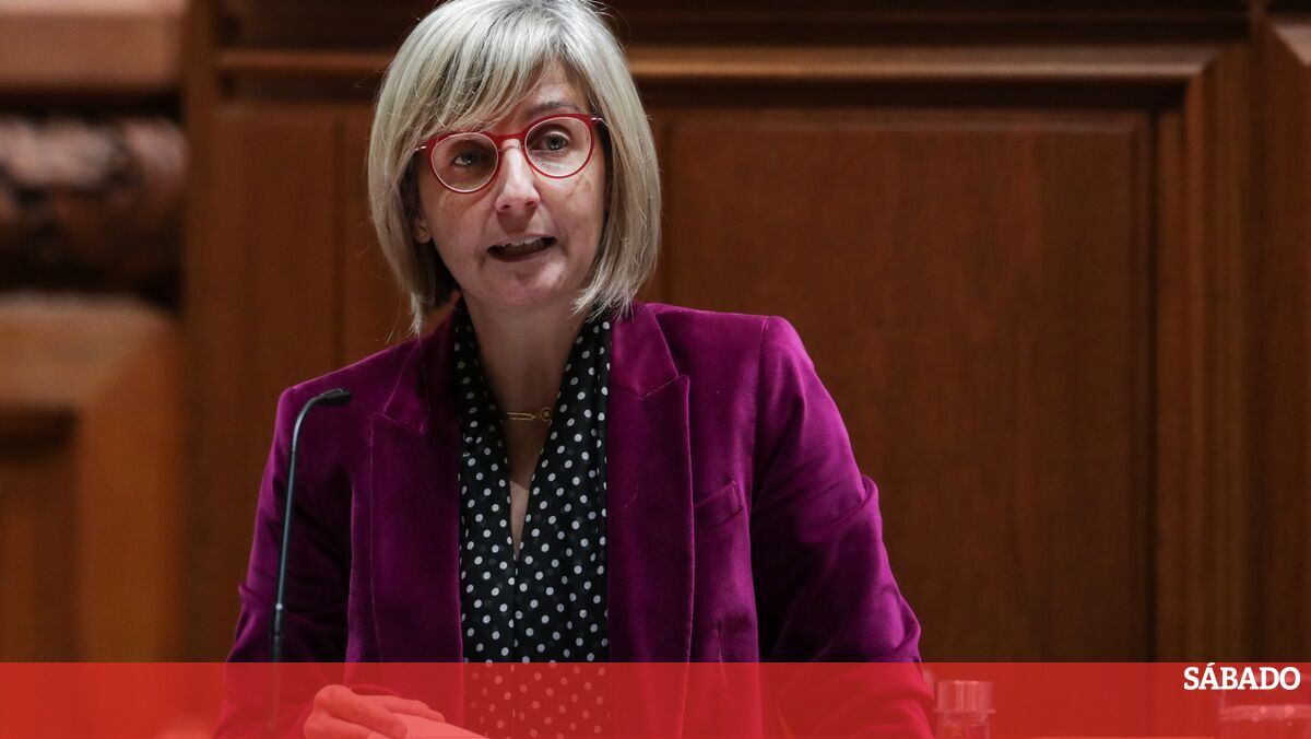 Marta Temido: Pandemia "tem resposta difícil por muito planeamento que ...