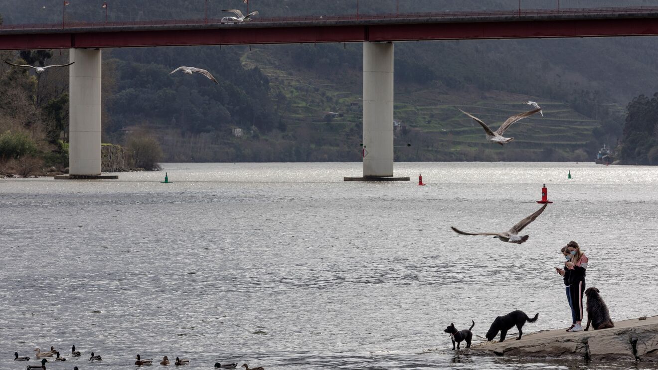 Há 20 anos, caía a ponte de Entre-os-Rios. 59 pessoas morreram - Última ...