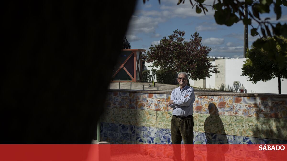 Mário de Carvalho: "Escrever é difícil, é um trabalho, um encargo ...