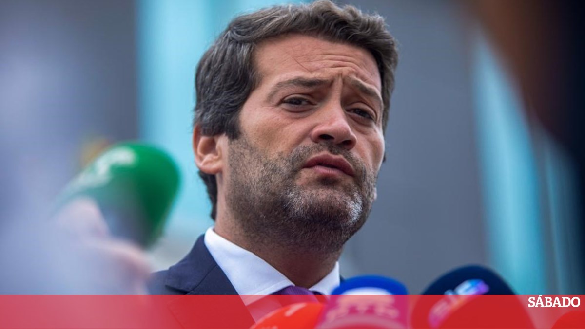 Constitucional Chumba Ventura Absolutista Por Desrespeitar Direitos