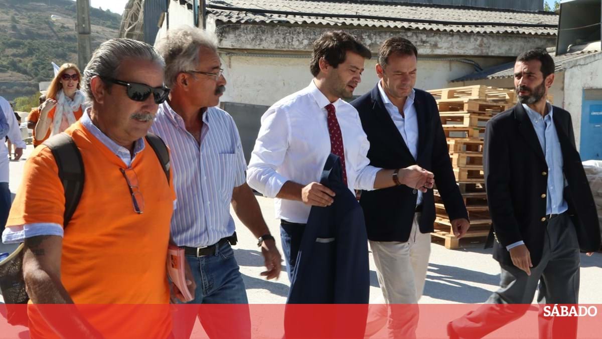 Encontros Apoios E Facadas Como Se Dão Montenegro E Ventura