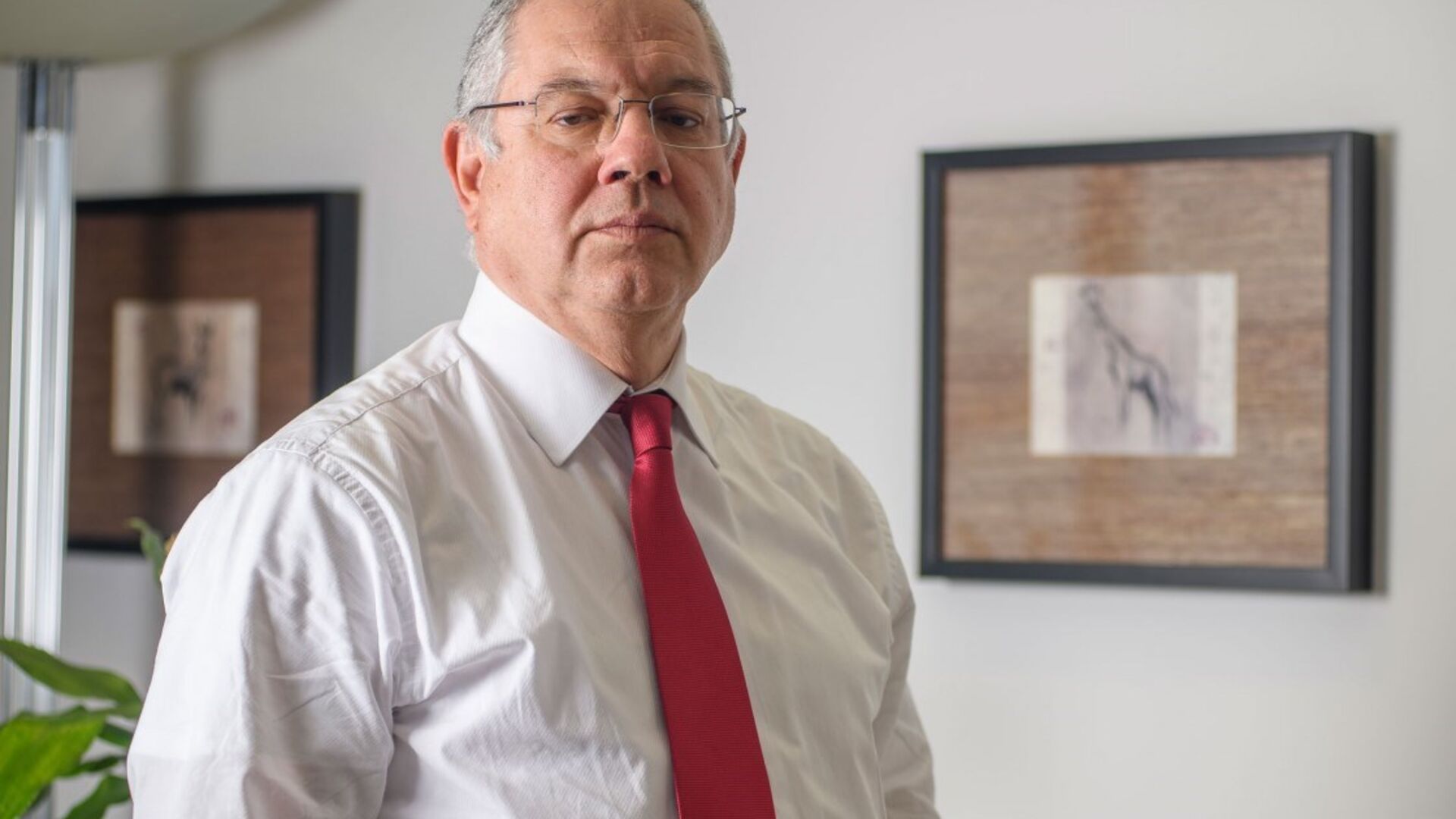 Presidente do IAPMEI demite-se e é substituído por Luís Pratas ...