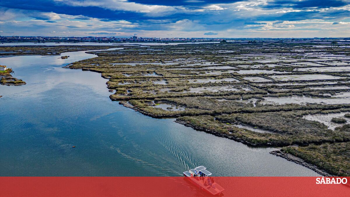 Aveiro e Ílhavo: a força de um povo - Paixão Portugal - SÁBADO