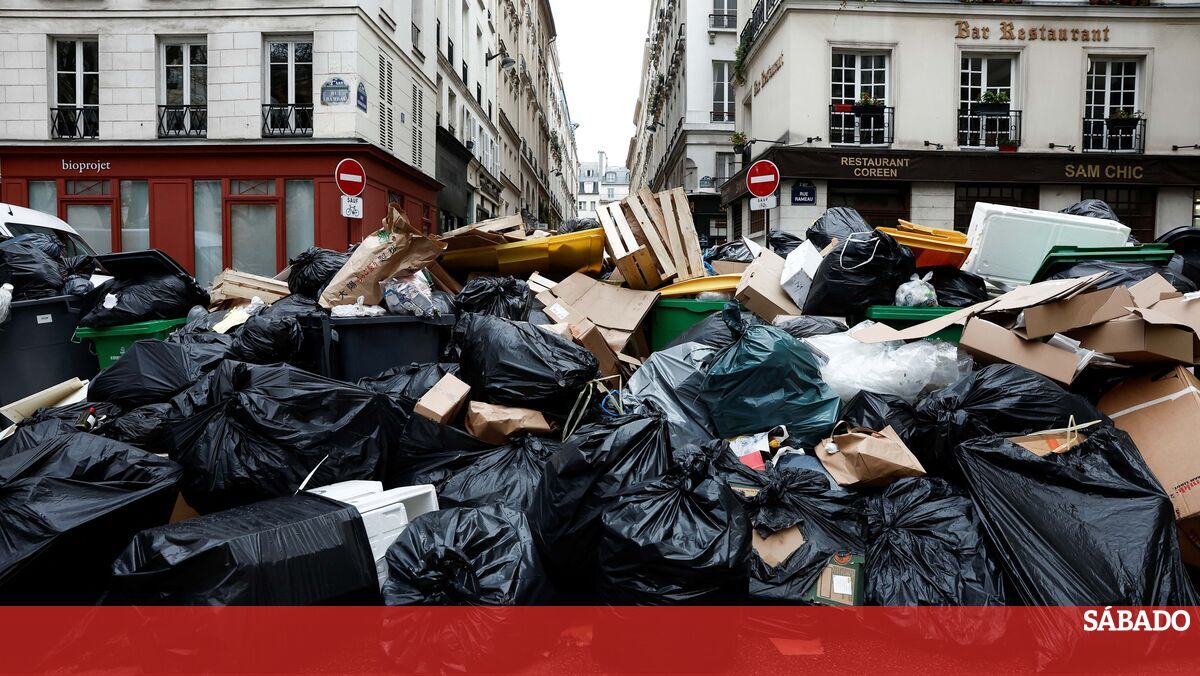 Paris inundada de lixo: "Está tudo sujo, cheio de ratos e baratas ...