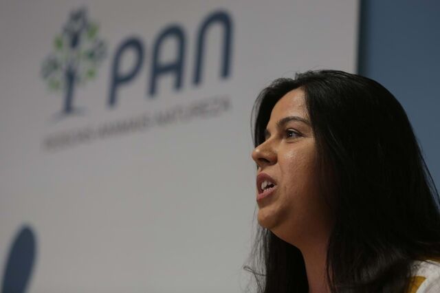 Inês de Sousa Real vai recandidatar-se à liderança do PAN - Última Hora ...