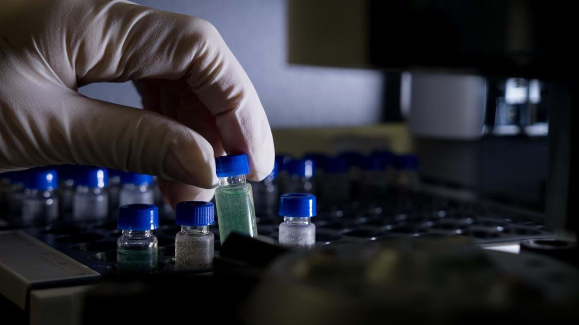 Arecolina. O que se sabe da nova droga encontrada em Portugal ...