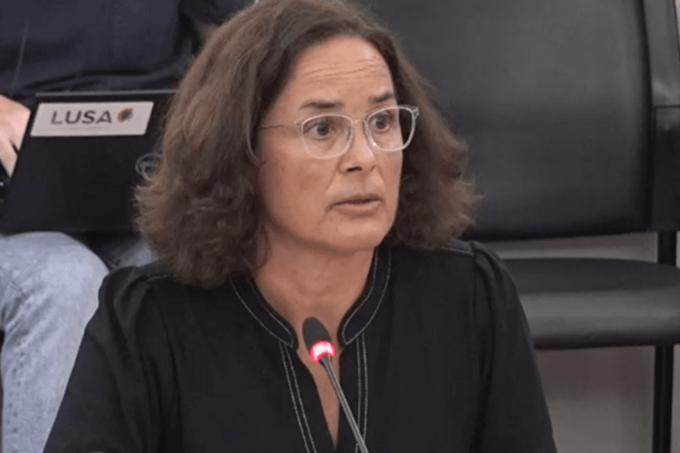 "Achei que poderia ser útil”: Maria João Ruela diz ter pedido contacto ...