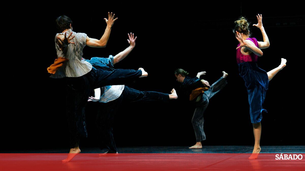 Coreógrafo Paulo Ribeiro vai estrear "Louis Lui" em Cannes - GPS - SÁBADO