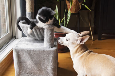 Vasco Rato - Autores - SÁBADO