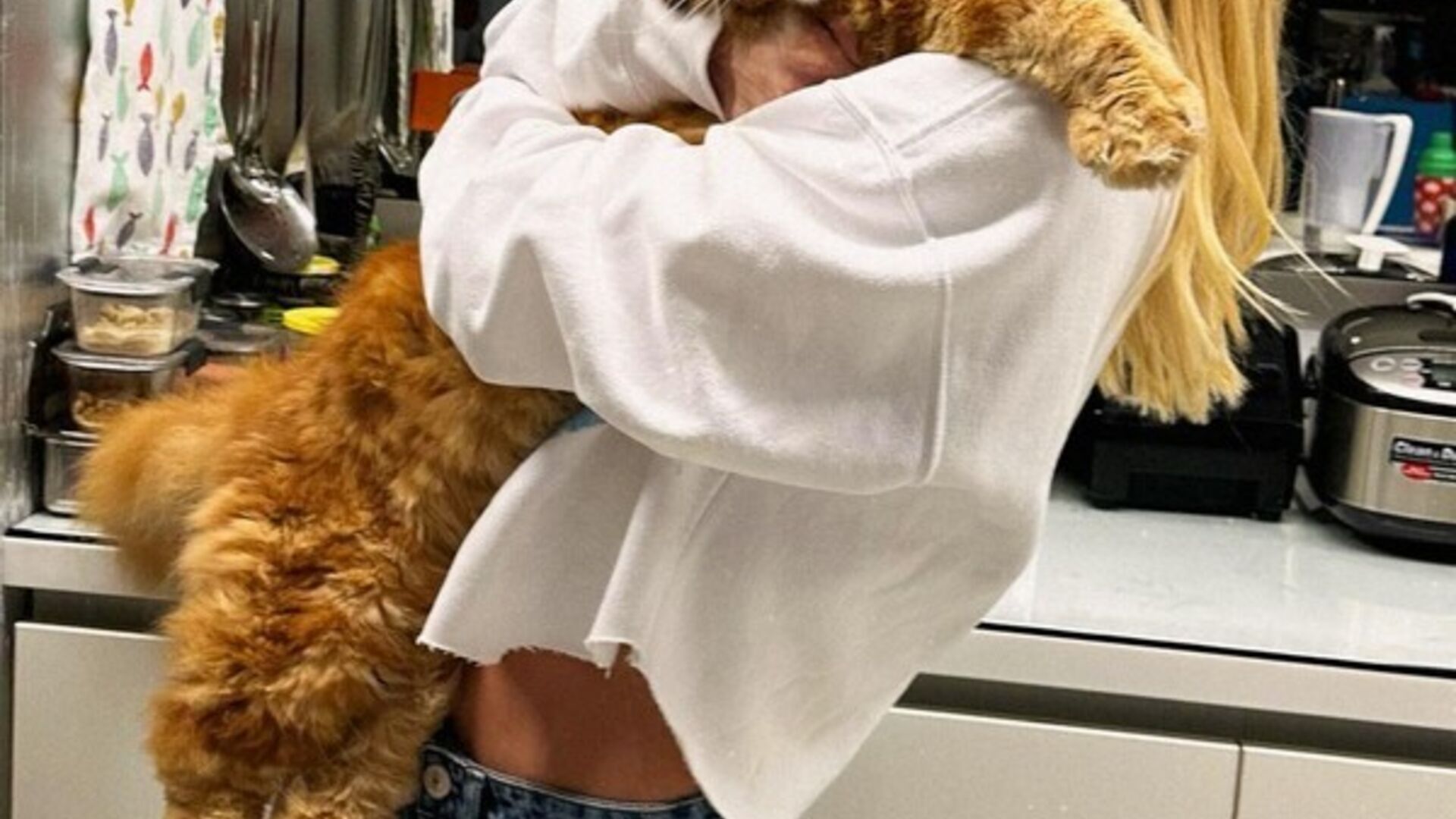 Quase do tamanho da dona! Gato gigante de Carolina Dieckmmann ...