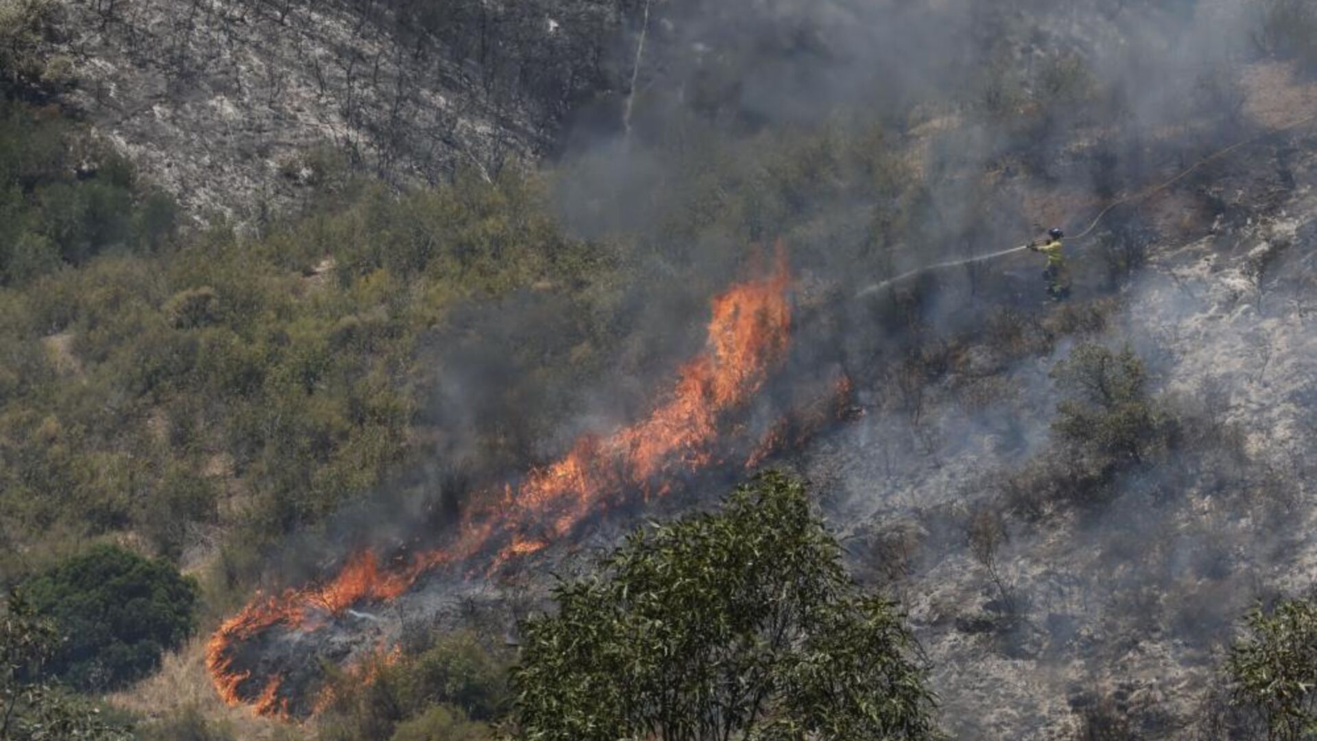 Incêndios: Cerca de 50 concelhos do interior Norte e Centro em perigo ...